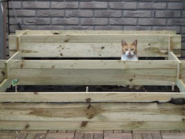 Wie is zwakzinnige Jaap en hoe is het met hem? | Wat een gast... | Wat ...
